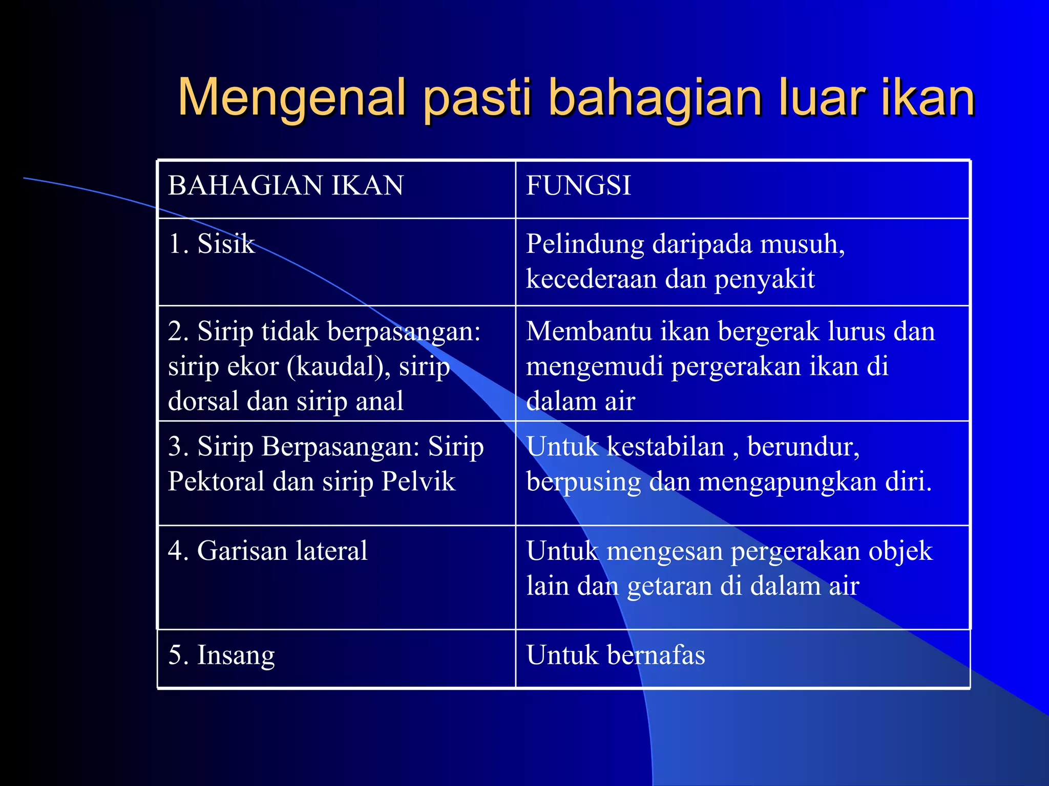 A. pengenalan ikan hiasan | PPT