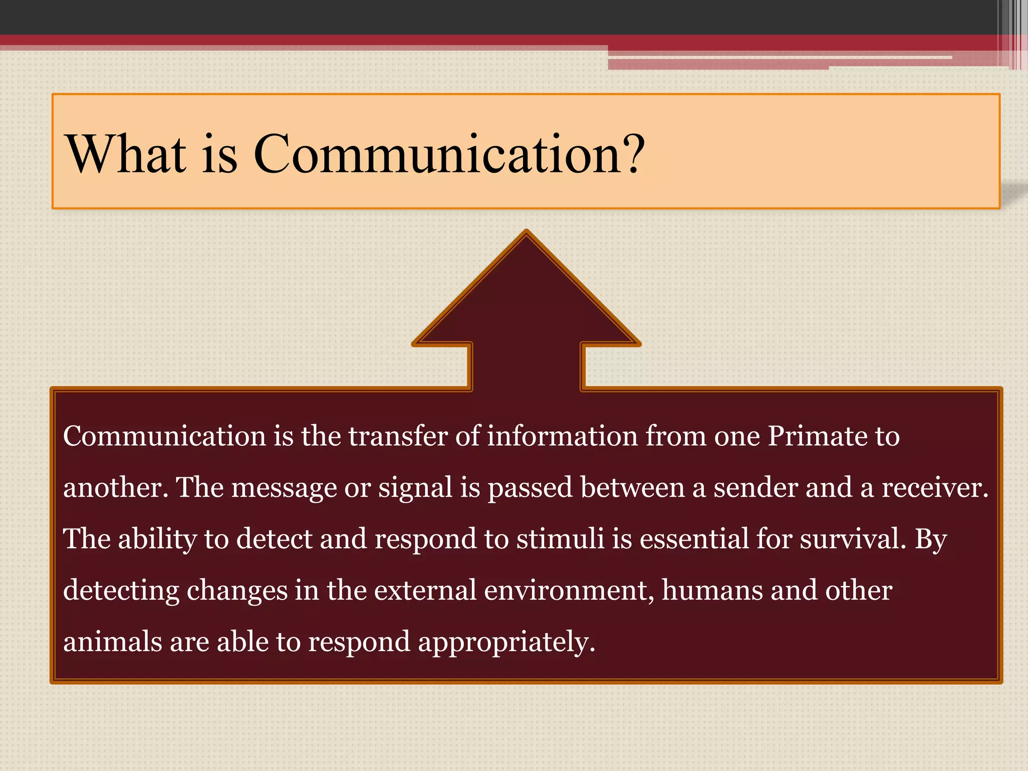 A.primate communication | PPTX