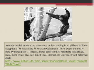 A.primate communication | PPTX