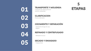 Proceso de elaboración de azucar | PDF