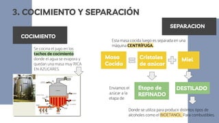 Proceso de elaboración de azucar | PDF