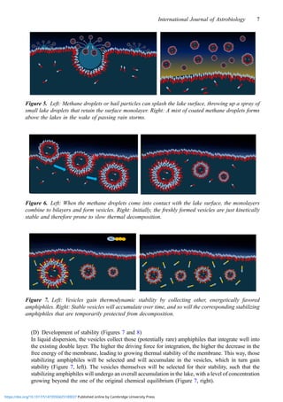 A proposed mechanism for the formation of protocell-like structures on ...