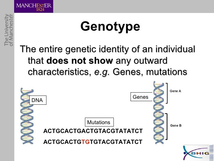 A systematic approach to Genotype-Phenotype correlations