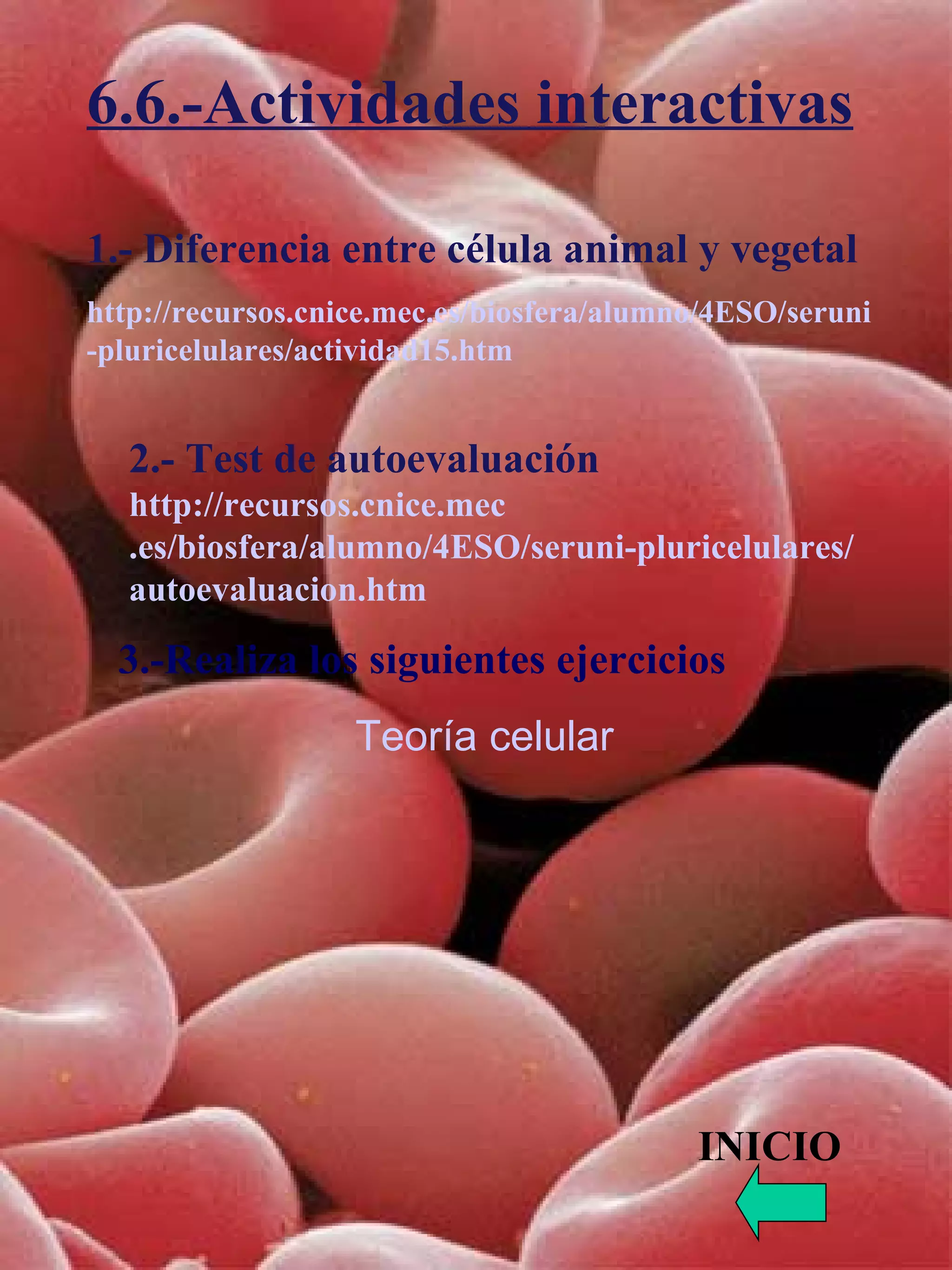 Tema 7 La Célula Pdf Descarga Gratuita