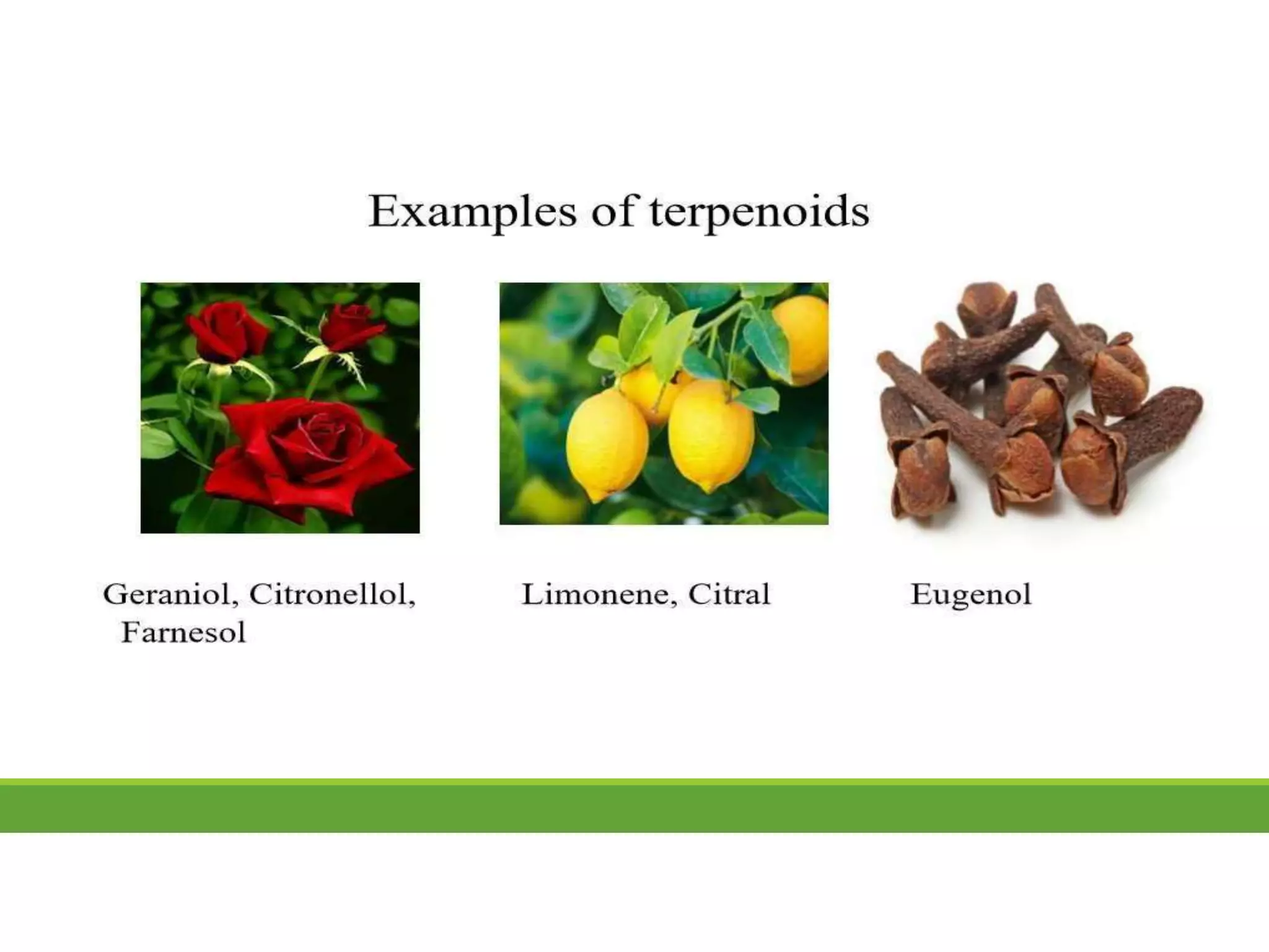 Isolation, Identification and Analysis of Phytoconstituents Terpenoids ...