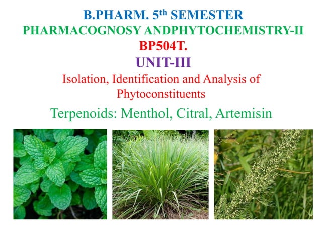 Isolation, Identification and Analysis of Phytoconstituents Terpenoids ...