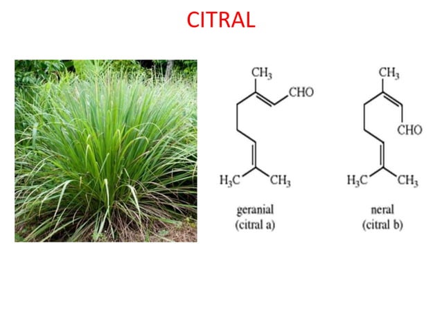 Isolation, Identification and Analysis of Phytoconstituents Terpenoids ...