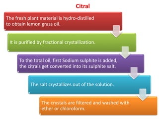 Isolation, Identification and Analysis of Phytoconstituents Terpenoids ...
