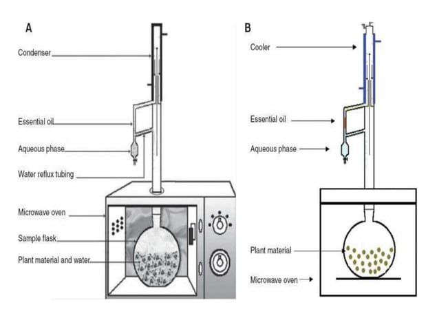 Isolation, Identification and Analysis of Phytoconstituents Terpenoids ...
