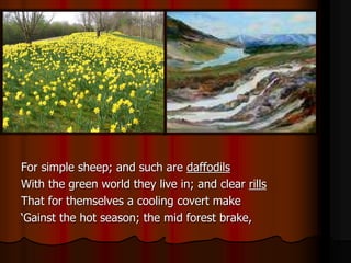 a-thing-of-beauty-by-tara-daulatani.ppt