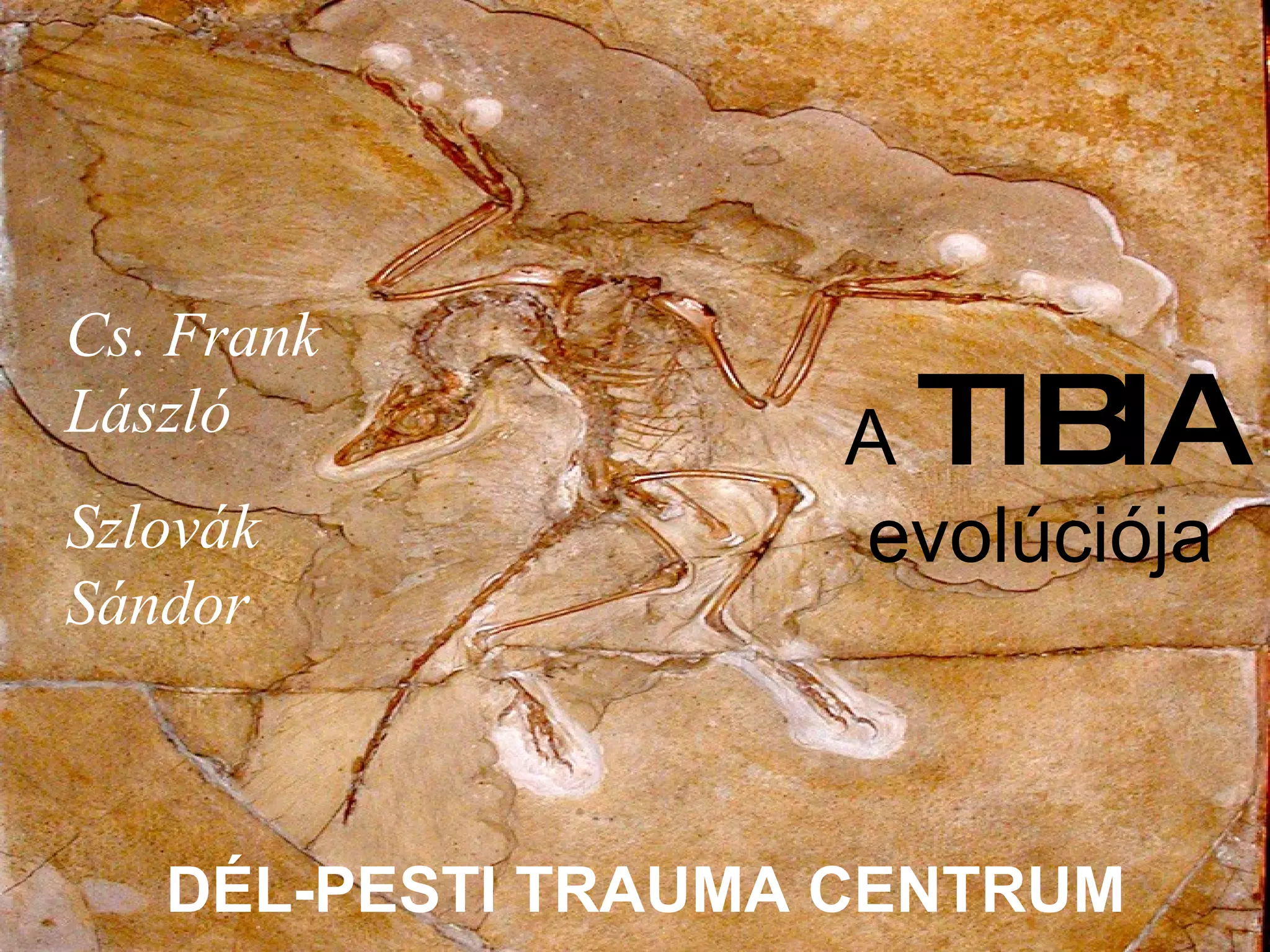 Evolution of tibia, power point | PPT