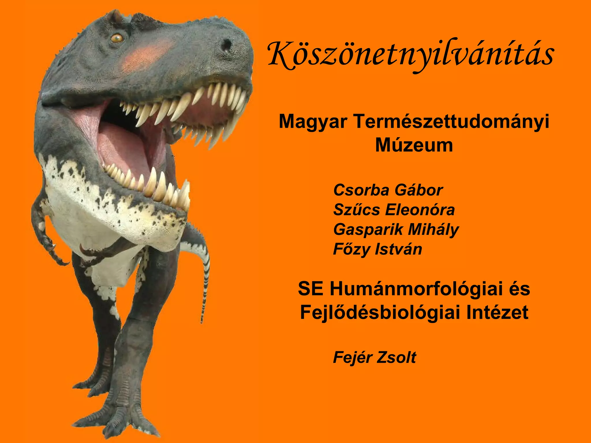 Evolution of tibia, power point | PPT