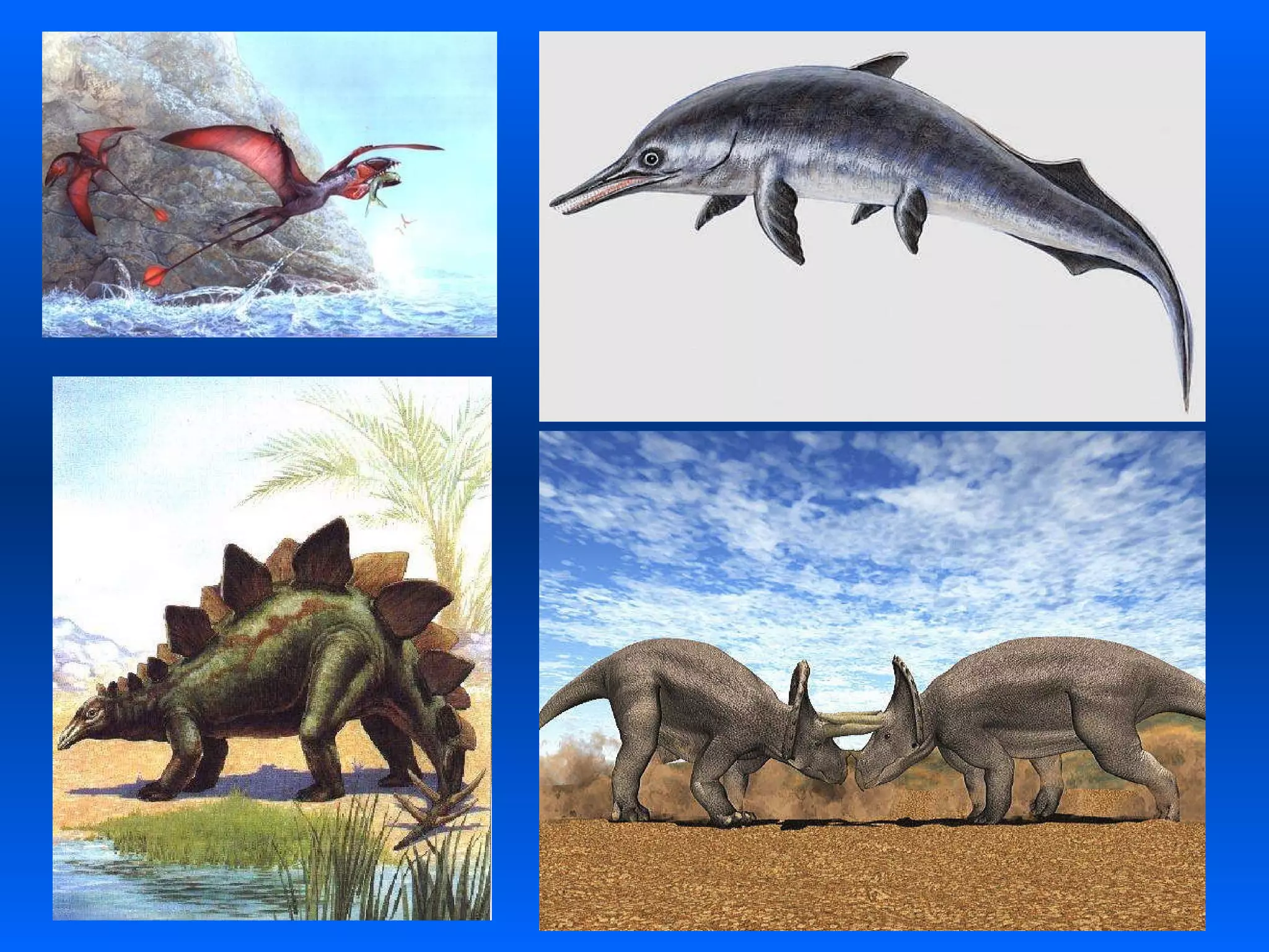 Evolution of tibia, power point | PPT