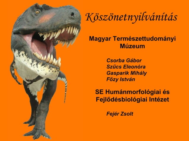 Evolution of tibia, power point | PPT