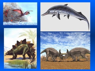 Evolution of tibia, power point | PPT