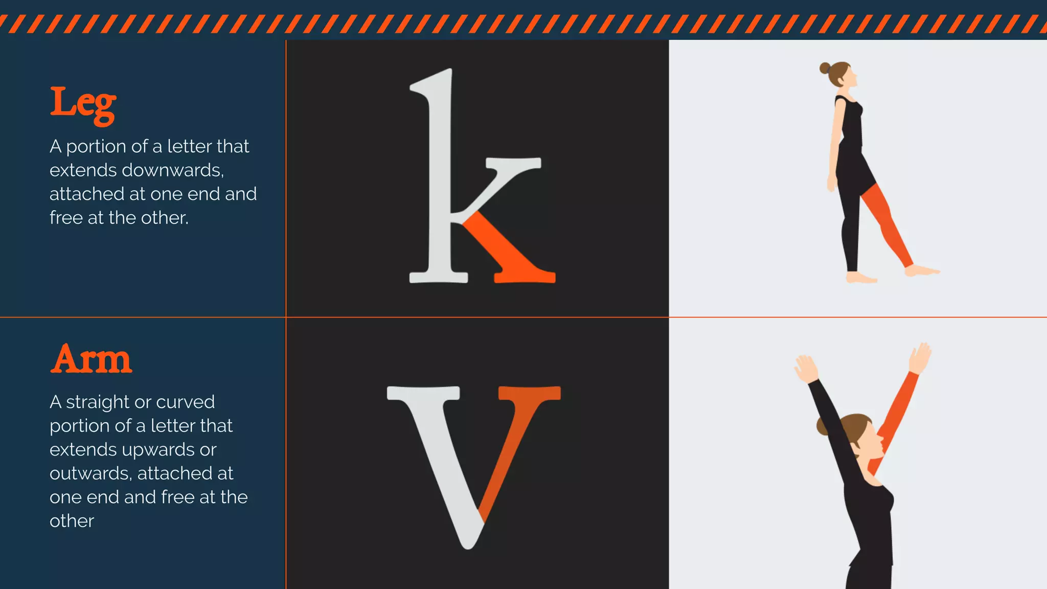 A Visual Guide to the Anatomy of Typography | PPT
