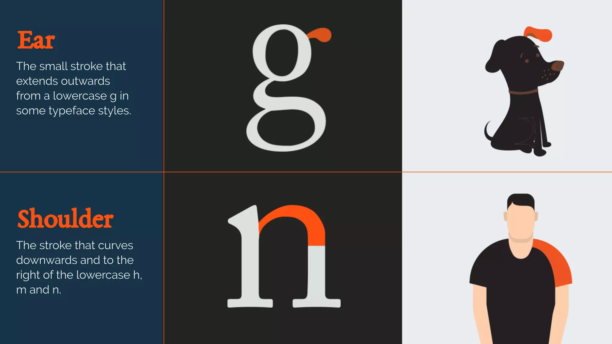 A Visual Guide to the Anatomy of Typography | PPT