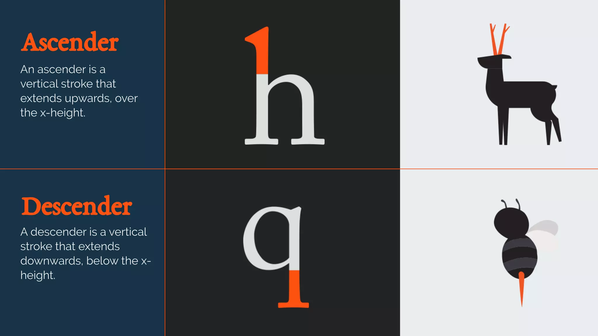 A Visual Guide to the Anatomy of Typography | PPT