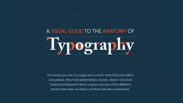 A Visual Guide to the Anatomy of Typography | PPT