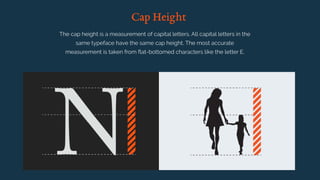 A Visual Guide to the Anatomy of Typography | PPT