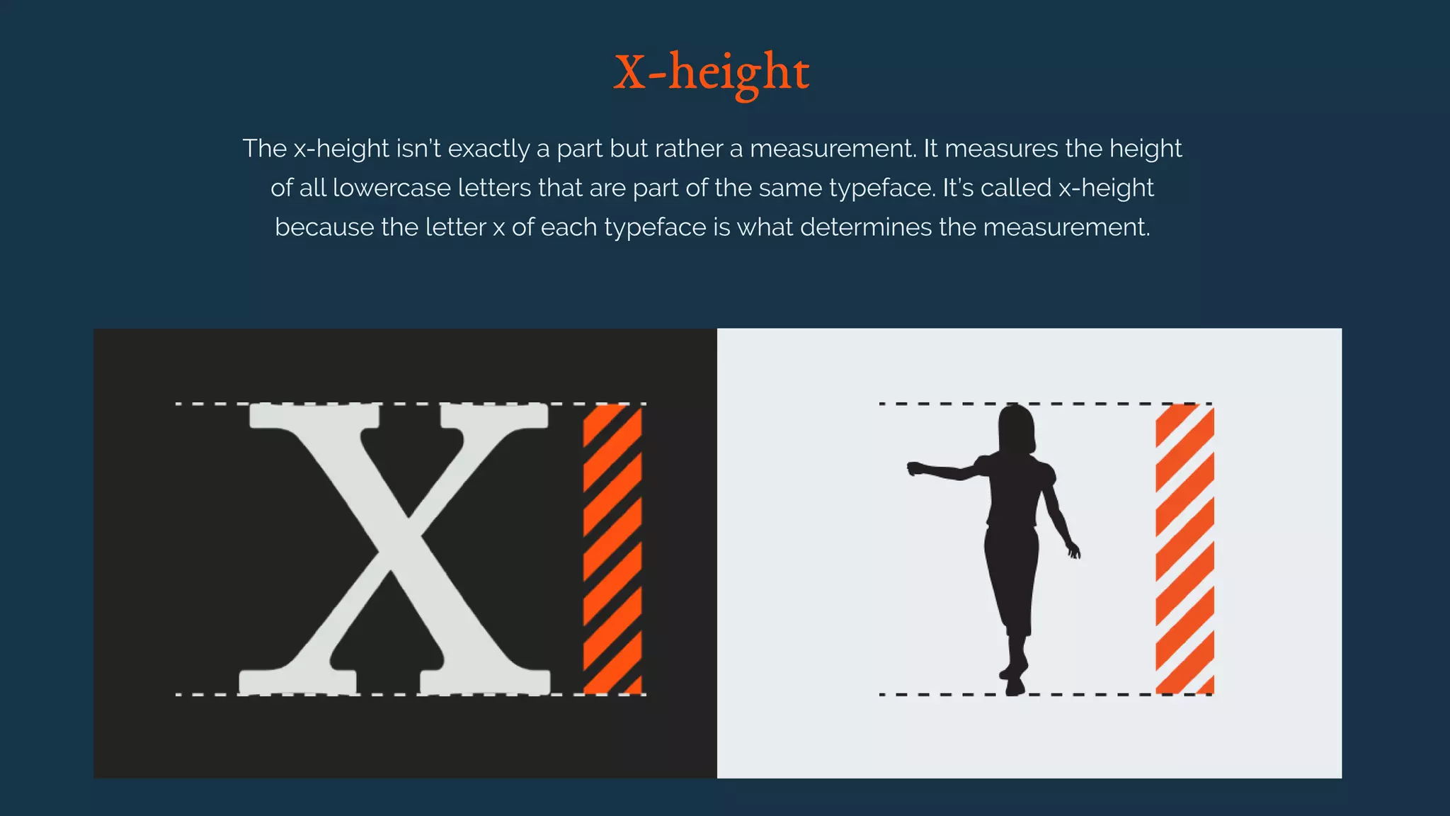 A Visual Guide to the Anatomy of Typography | PDF