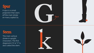 A Visual Guide to the Anatomy of Typography | PDF