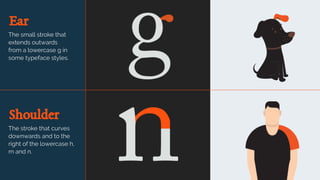 A Visual Guide to the Anatomy of Typography | PDF