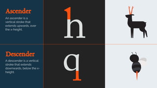 A Visual Guide to the Anatomy of Typography | PDF