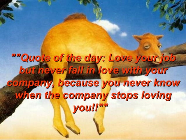 A Wise Camel | PPT