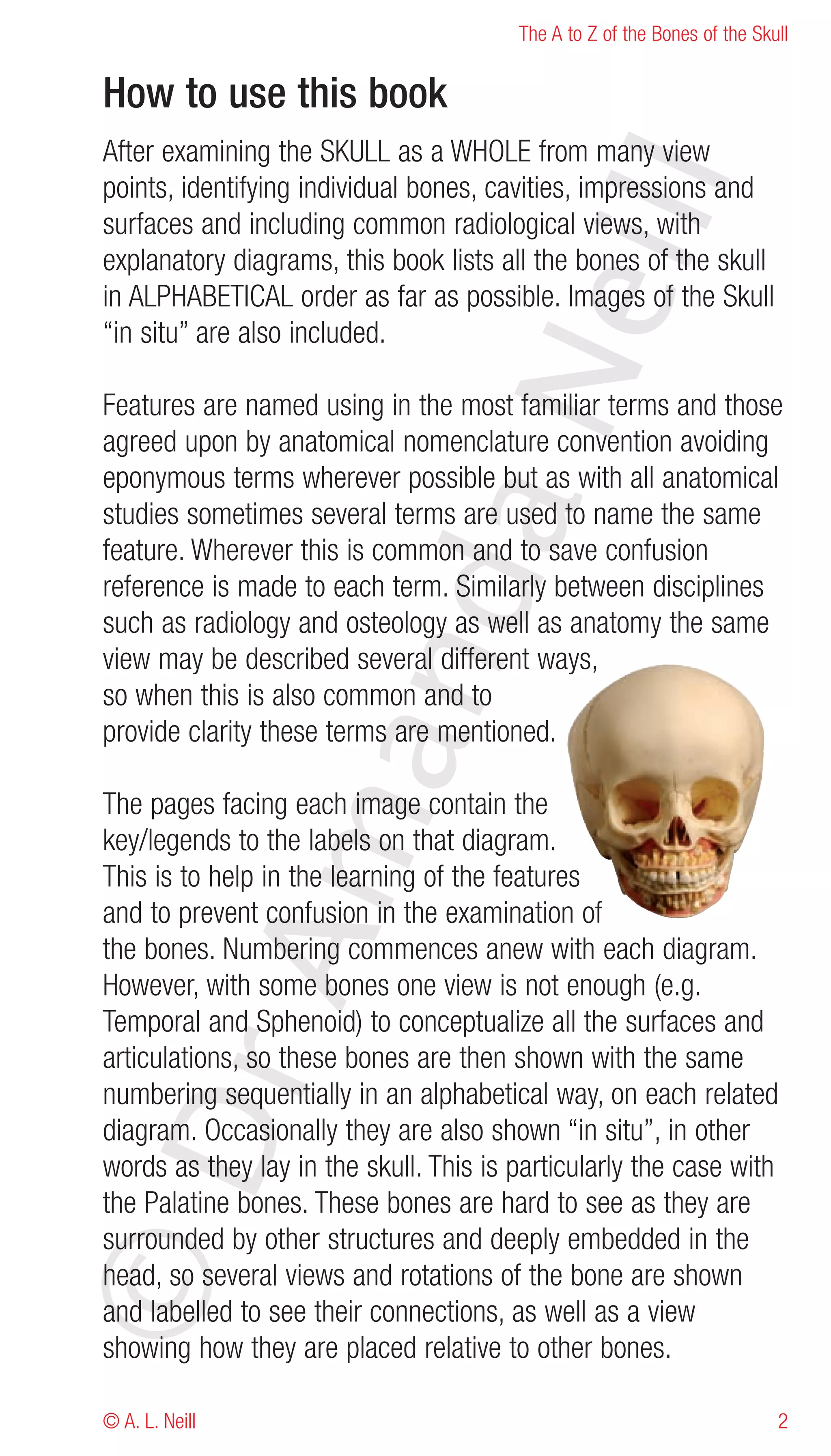 A z-bones-of-the-skull | PDF