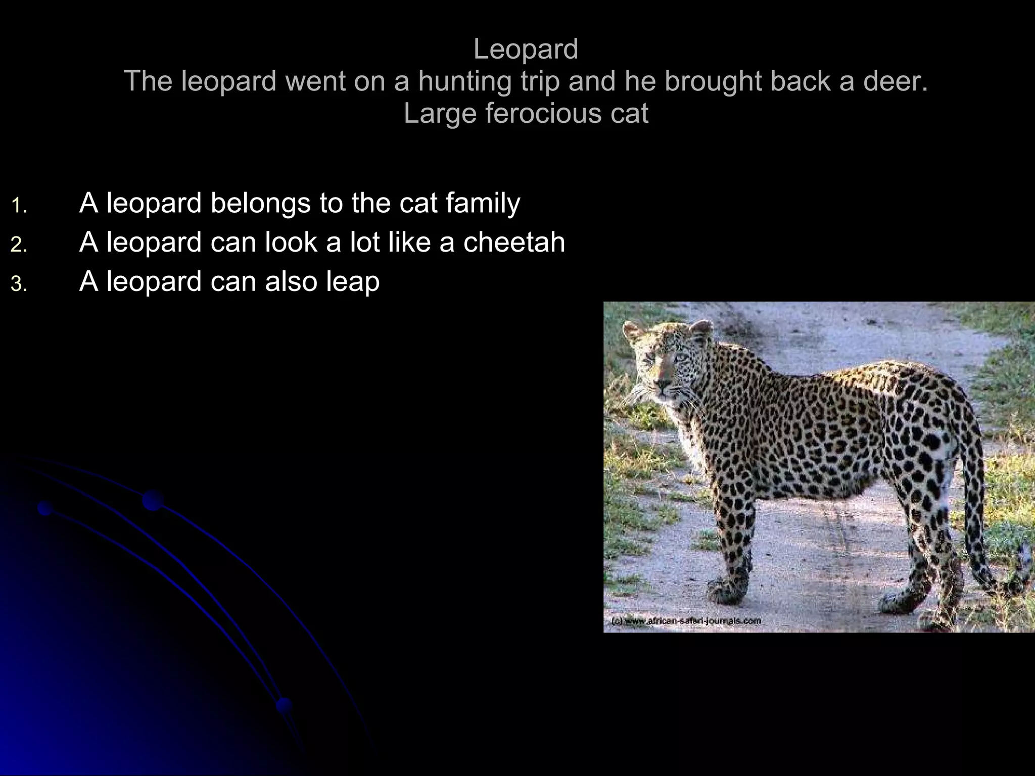 Animal ABC book | PPT