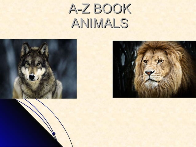 Animal ABC book | PPT | Birds | Pets