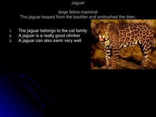 Animal ABC book | PPT | Birds | Pets