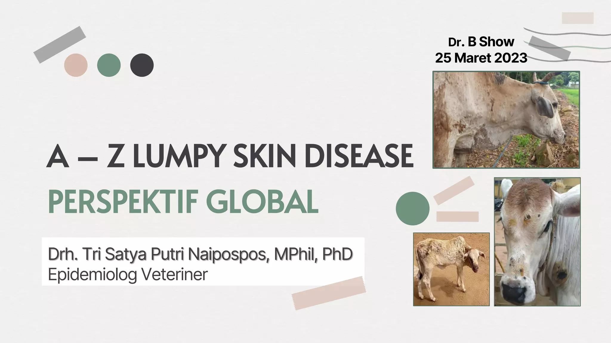 A - Z Lumpy Skin Disease - Perspektif Global - Dr. B. Show - 25 Maret ...