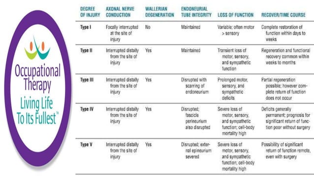 Occupational Therapy Management of Sensory Dysfunction & Oedema | PPTX ...