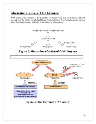 Assignment On cox2 inhibitors | PDF