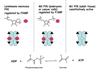 PYK_the_second_secret | PDF