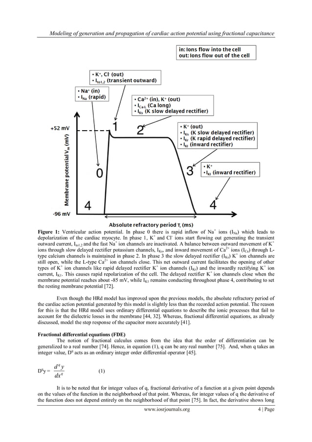 Modeling of generation and propagation of cardiac action potential ...