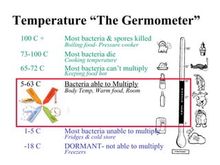 Presentation in food safty | PPT
