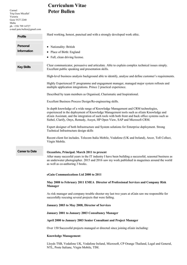 Peter Bullen CV 2016 | PDF | Business Administration | Business