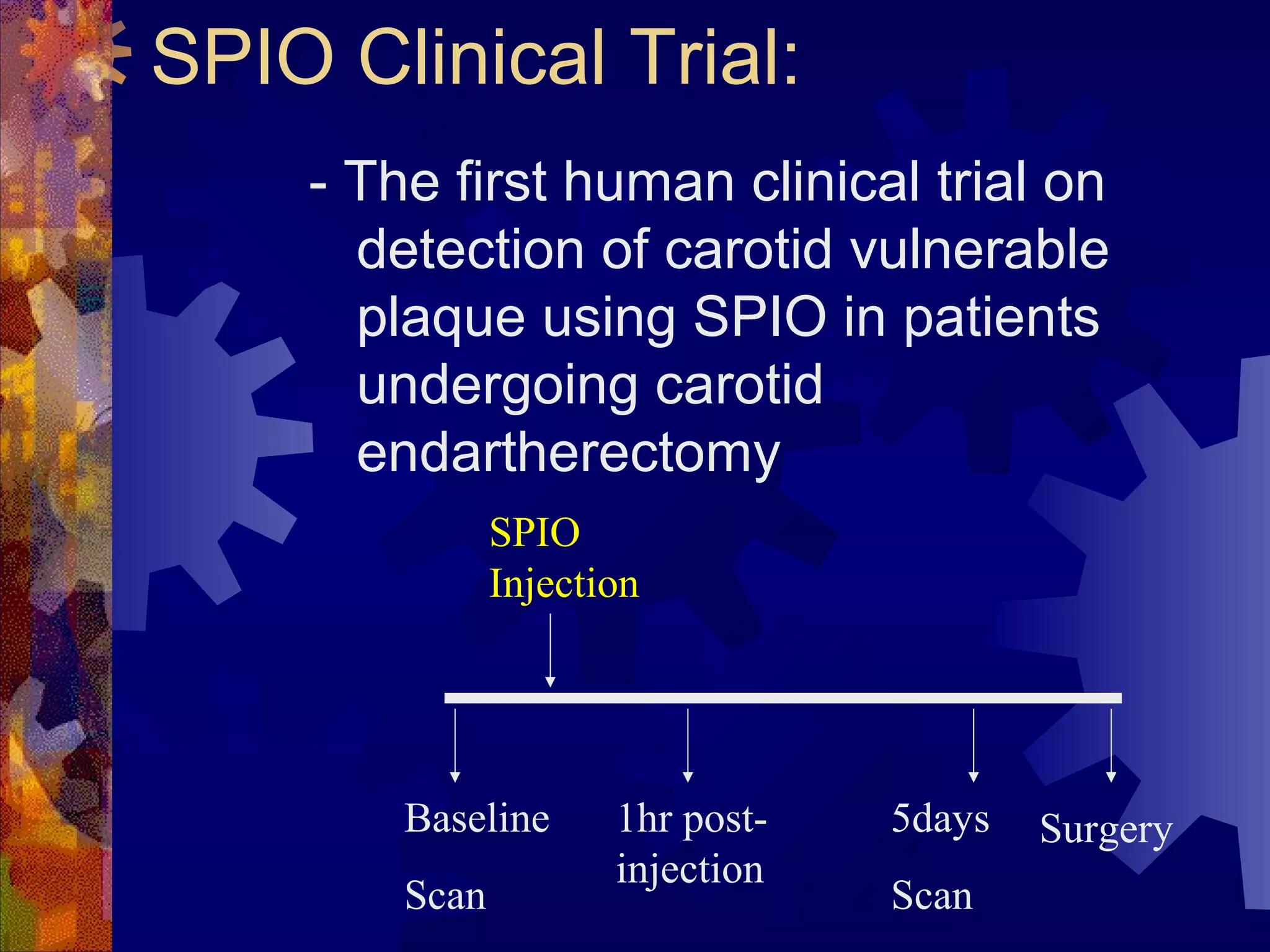 111 human carotid mri spio | PPT