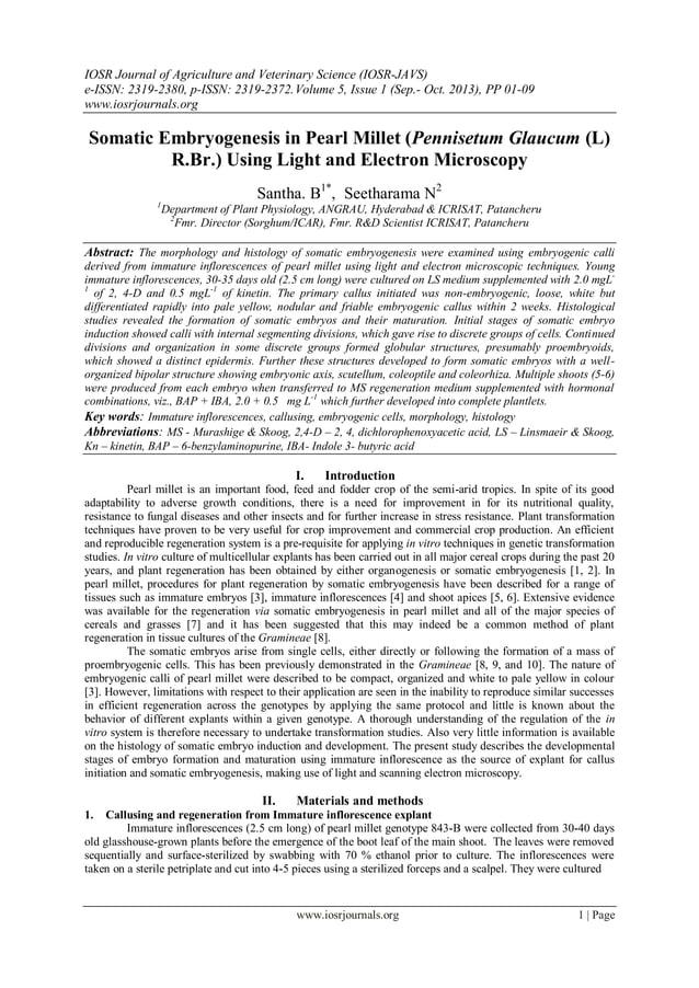 Somatic Embryogenesis in Pearl Millet (Pennisetum Glaucum (L) R.Br.) Using Light and Electron ...