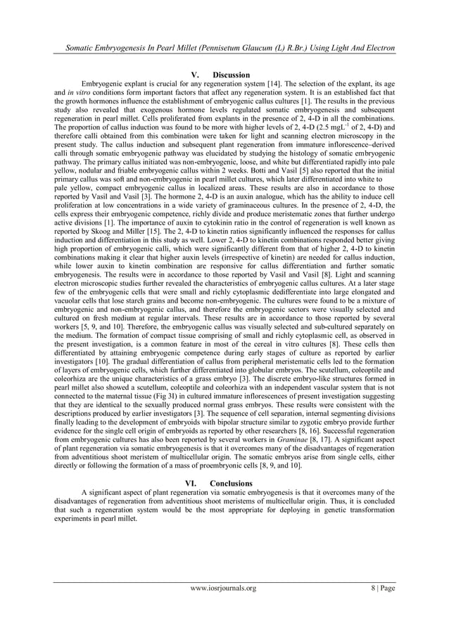 Somatic Embryogenesis in Pearl Millet (Pennisetum Glaucum (L) R.Br.) Using Light and Electron ...