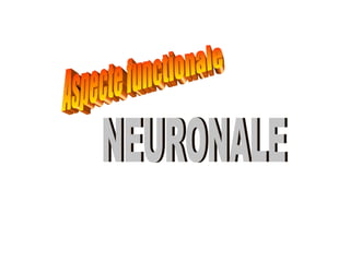 Functii neuronale | PPT