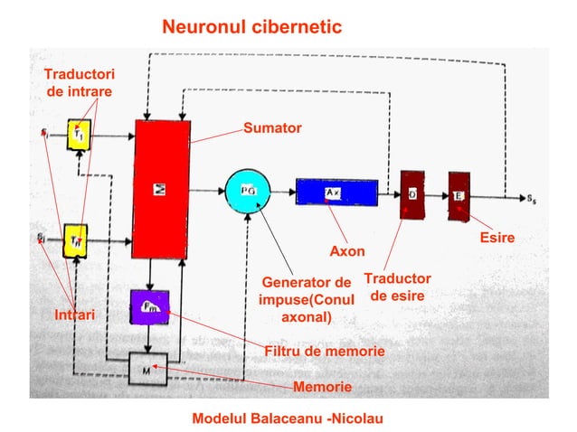 Functii neuronale | PPT
