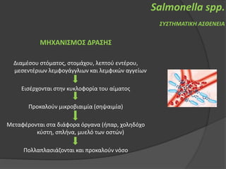 ΡΗΓΟΠΟΥΛΟΣ - ΠΤΥΧΙΑΚΗ (POWERPOINT) | PPTX