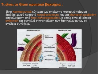 ΡΗΓΟΠΟΥΛΟΣ - ΠΤΥΧΙΑΚΗ (POWERPOINT) | PPTX