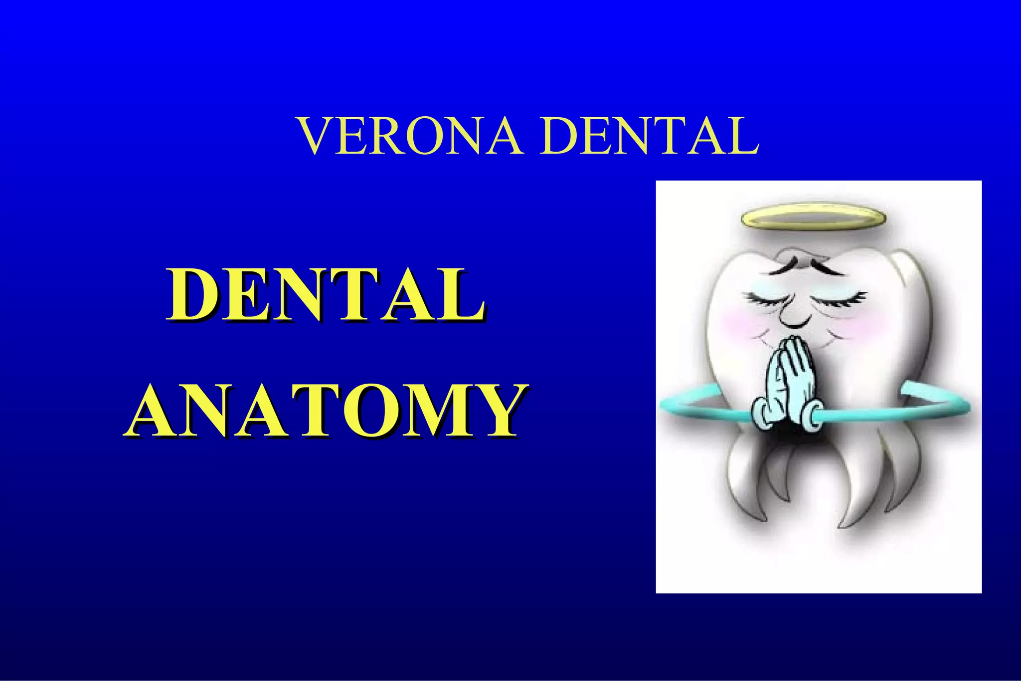 Verona Dental Presents Dental Anatomy By Jim Emms | PPT