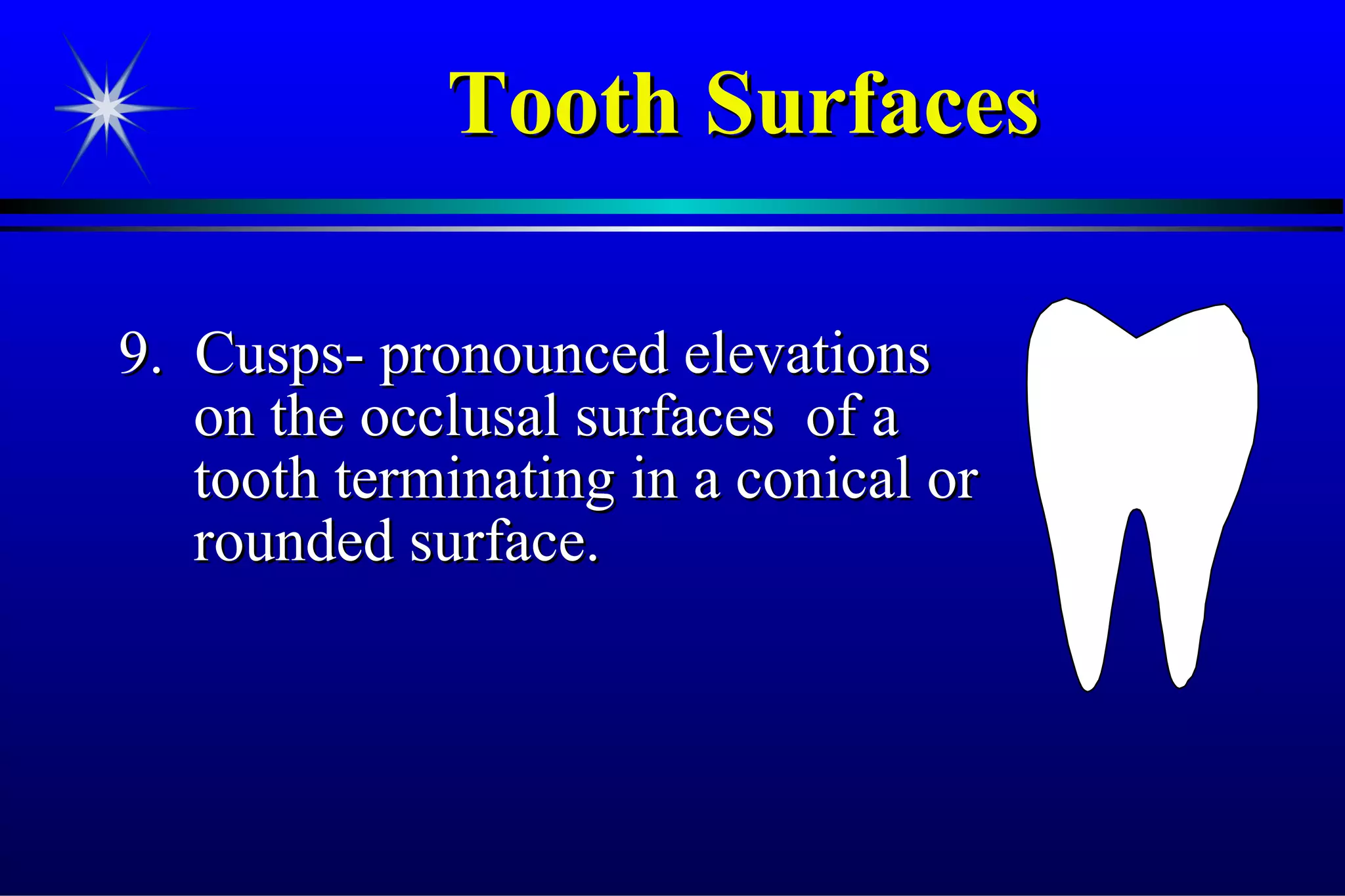 Verona Dental Presents Dental Anatomy By Jim Emms | PPT