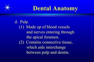 Verona Dental Presents Dental Anatomy By Jim Emms | PPT